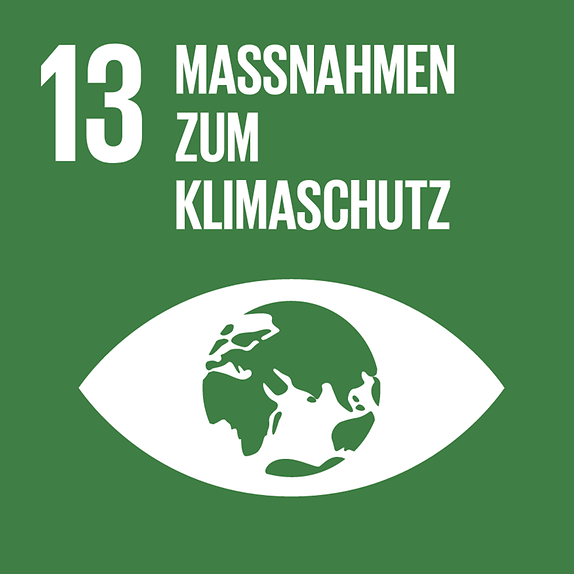 Informationsblatt SDG 13: Maßnahmen zum Klimaschutz - Nachhaltigkeitsbibliothek